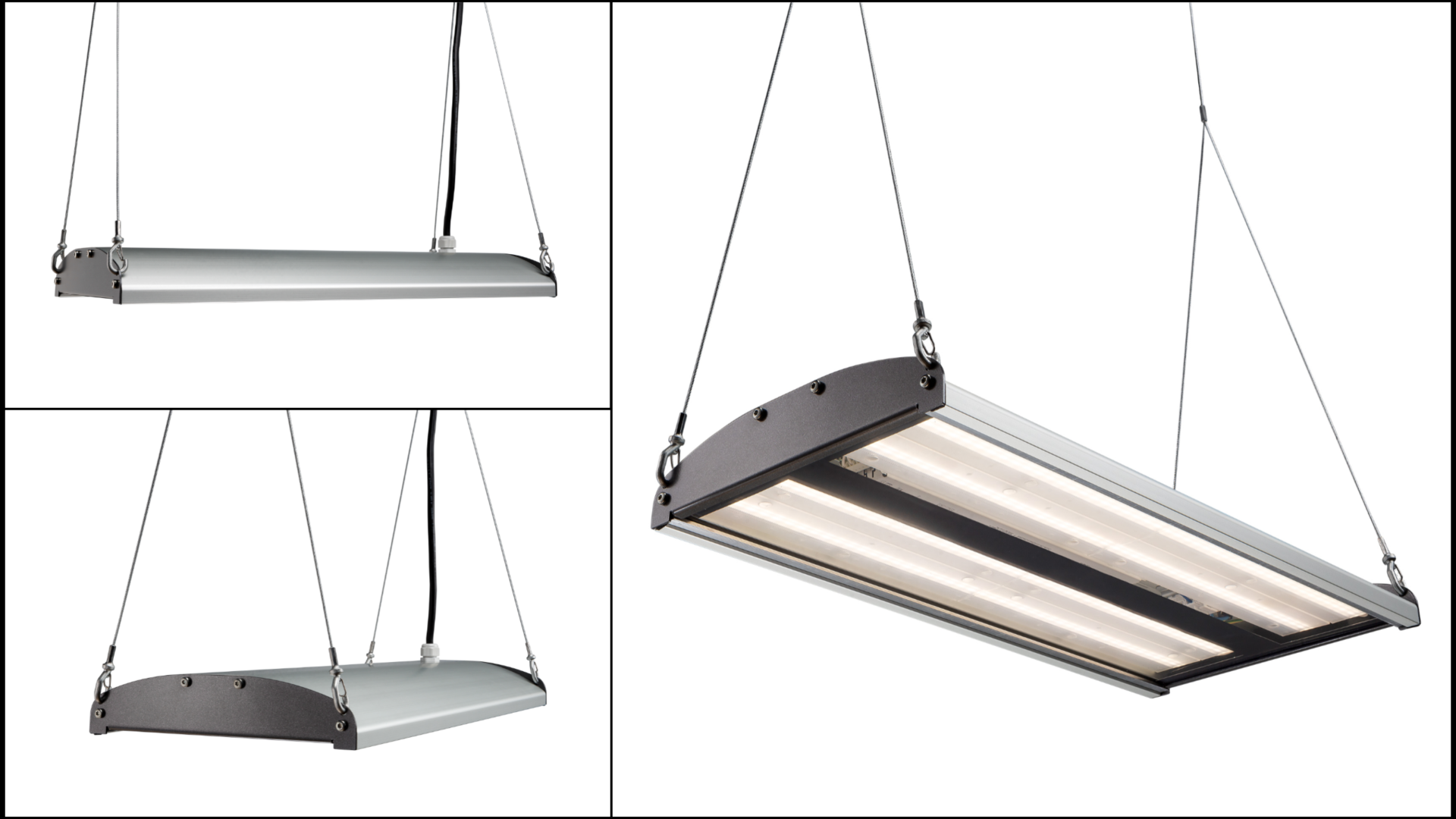 June 10, 2019 – Spectrum Lighting Austin